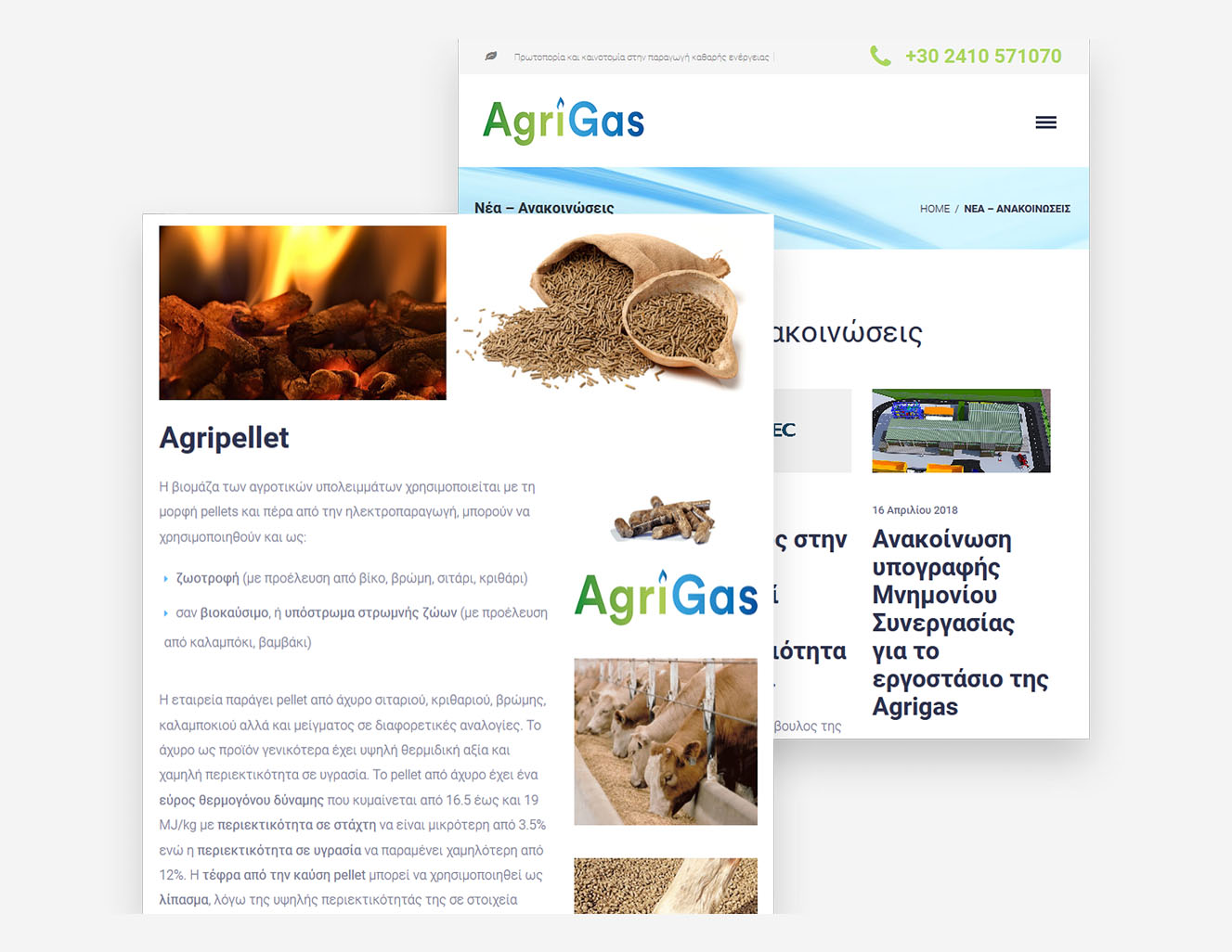 Κατασκευή ιστοσελίδας, Λάρισα, ITBIZ - ITBIZ Digital Agency